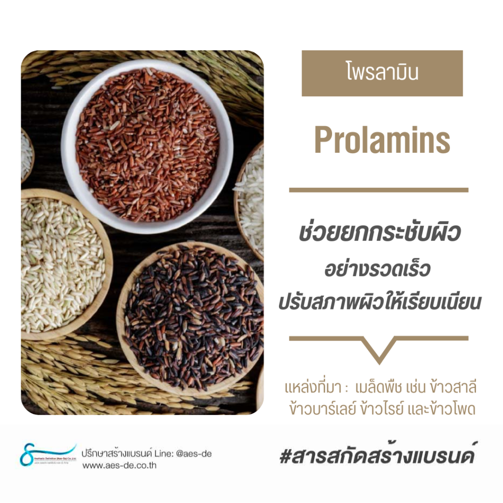 Prolamins (โพรลามิน) - สารสกัดสร้างแบรนด์สกินแคร์