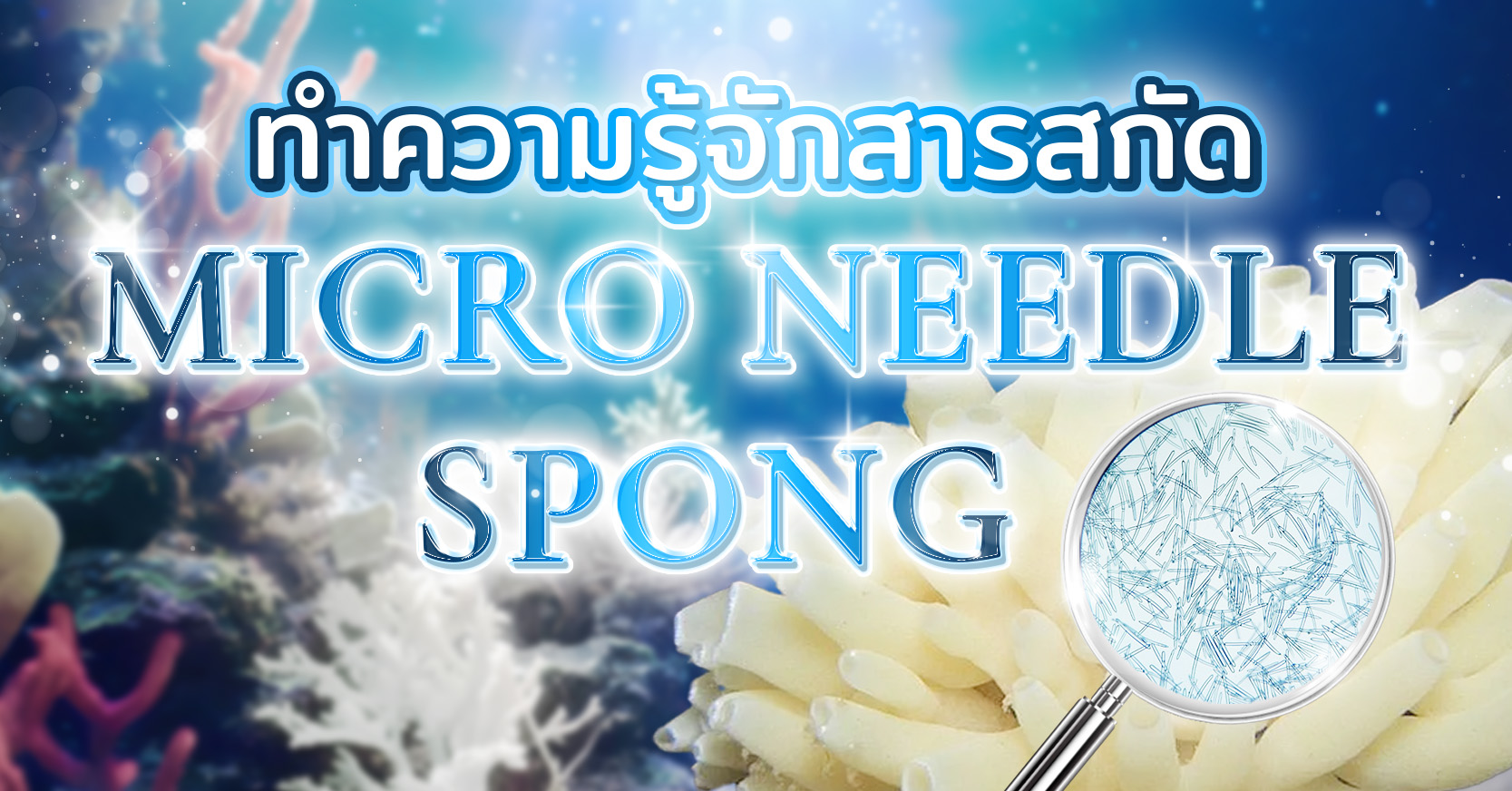 Microneedle (Sponge) Extract